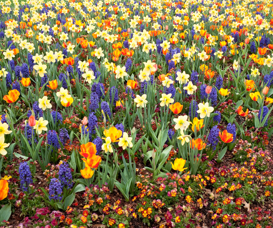 Nanaimo North - Vancouver Island Regional Library